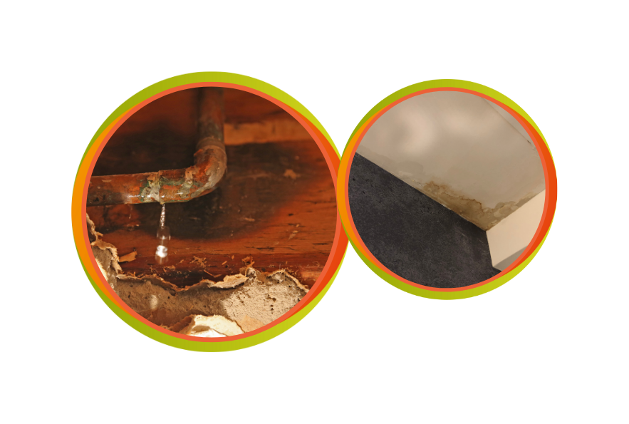 Damp, Mould & Condensation - Calico Homes